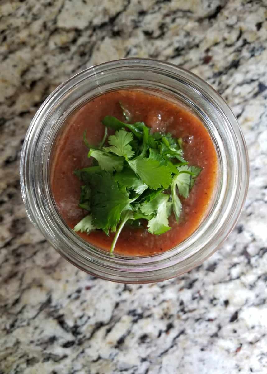 Roasted Tomato and Green Onion Salsa - Casual Foodist